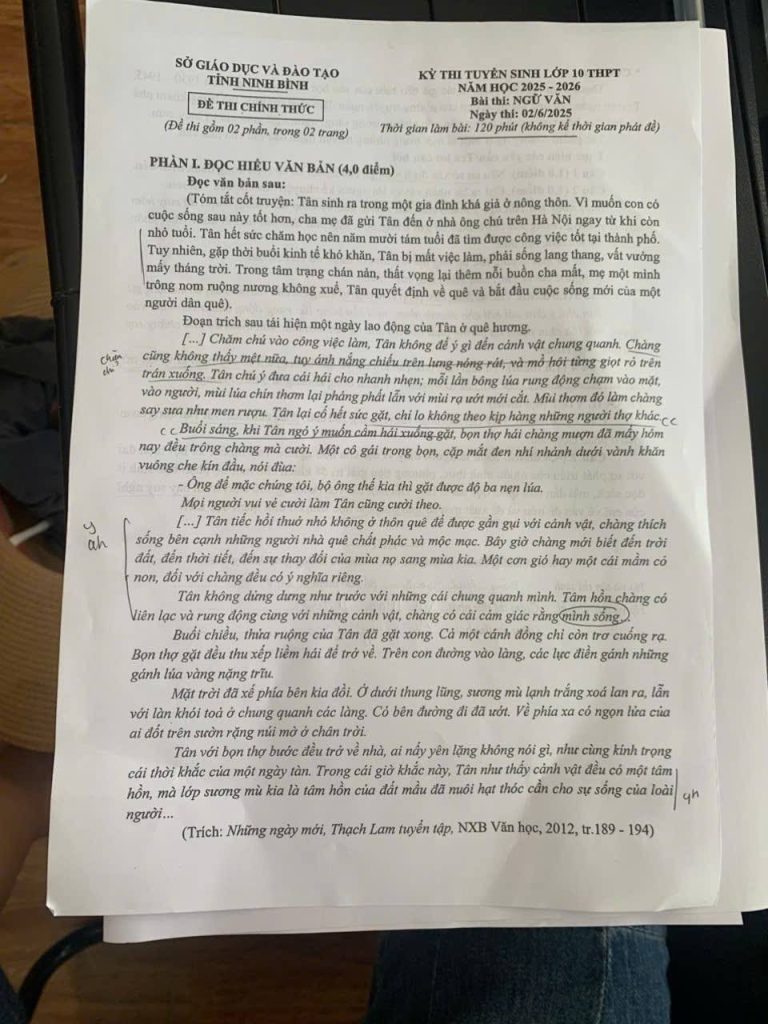 (MS295) Đề thi chính thức môn Ngữ Văn vào 10 tỉnh Ninh Bình 2025 (đọc hiểu Những ngày mới, NLXH ...